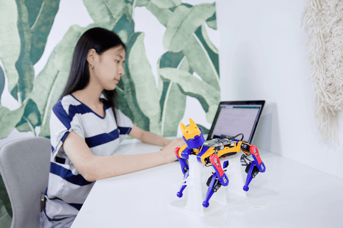 Petoi Robot Dog Bittle X - Programmable Companion
