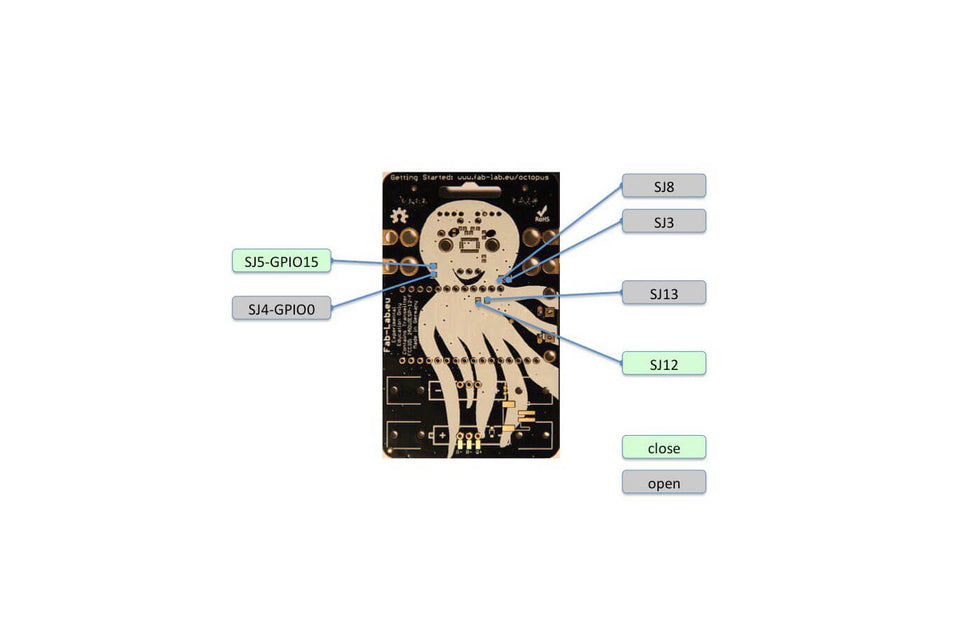 OCTOPUS CO2 Detector Badge